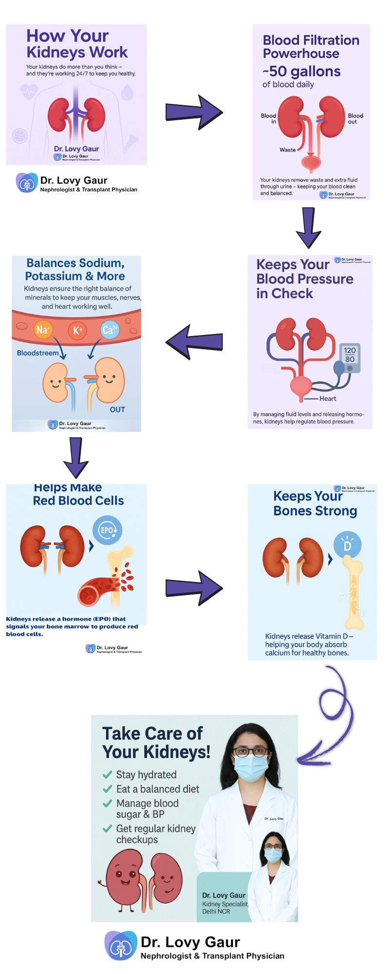 How Your Kidneys Work by Dr. Lovy Gaur